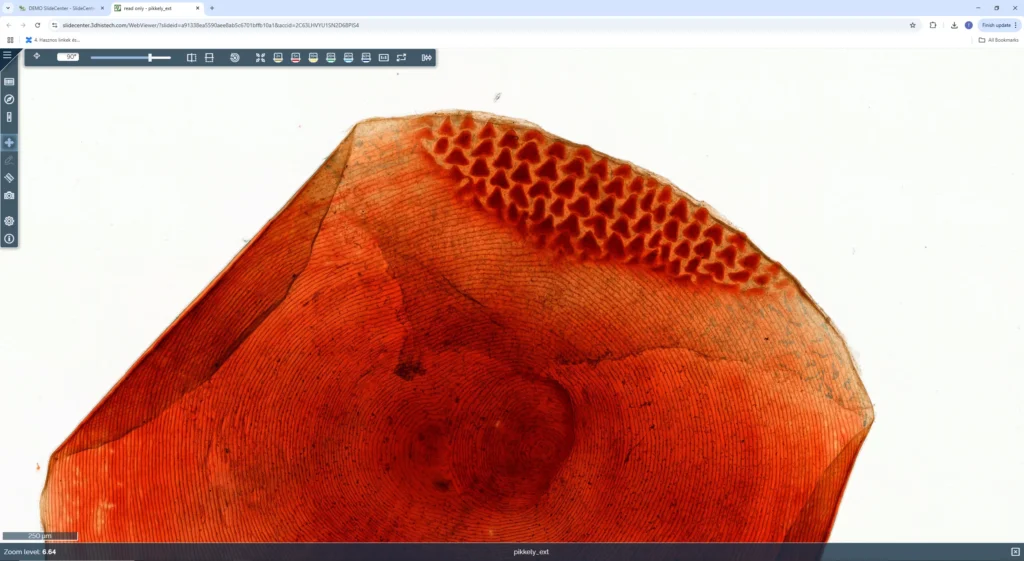 WebViewer • 3DHISTECH