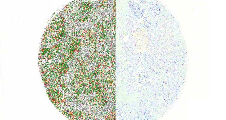 QuantCenter • 3DHISTECH