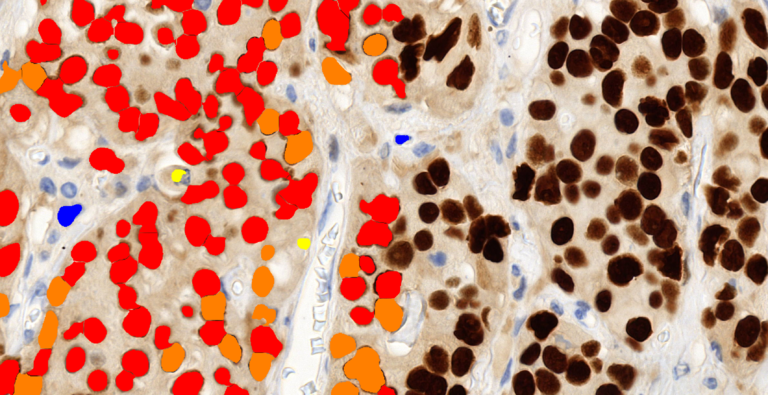 QuantCenter • 3DHISTECH