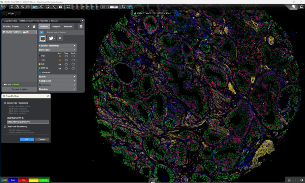 QuantServer • 3DHISTECH