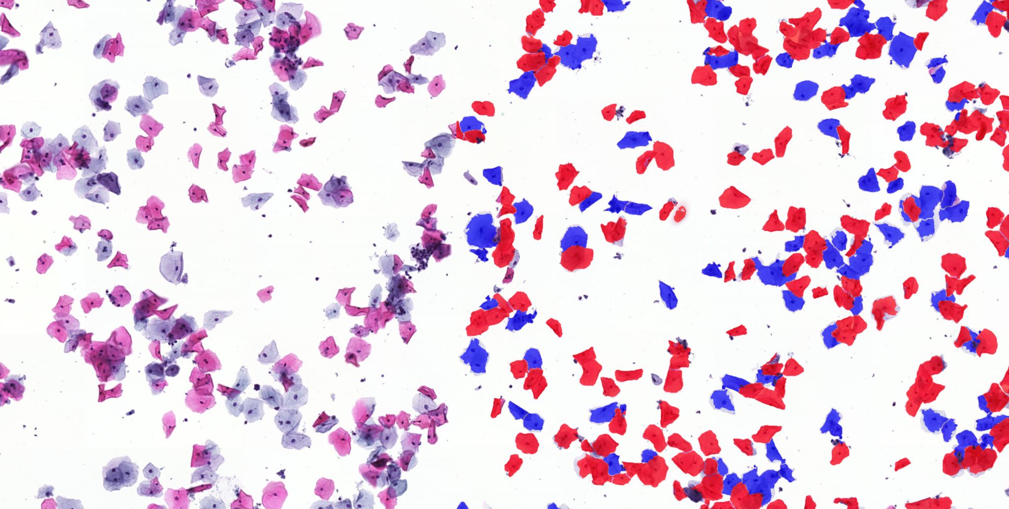 QuantCenter • 3DHISTECH