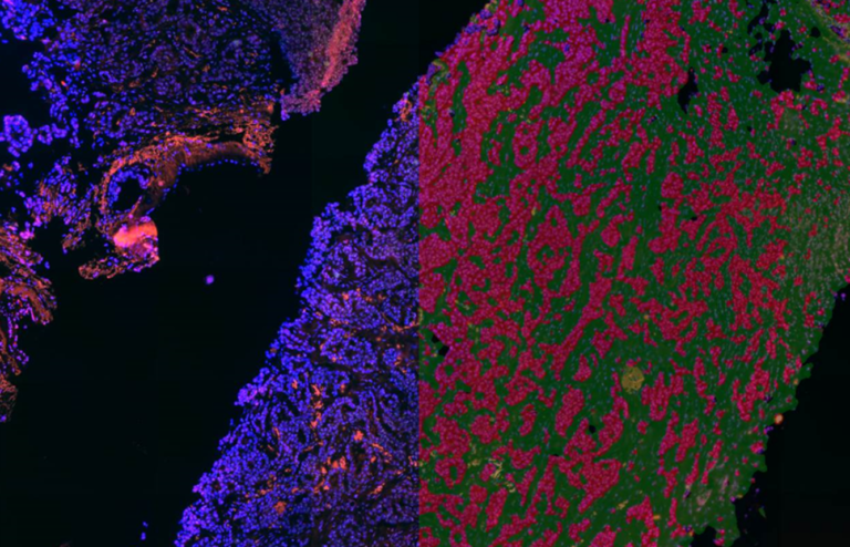 QuantCenter • 3DHISTECH