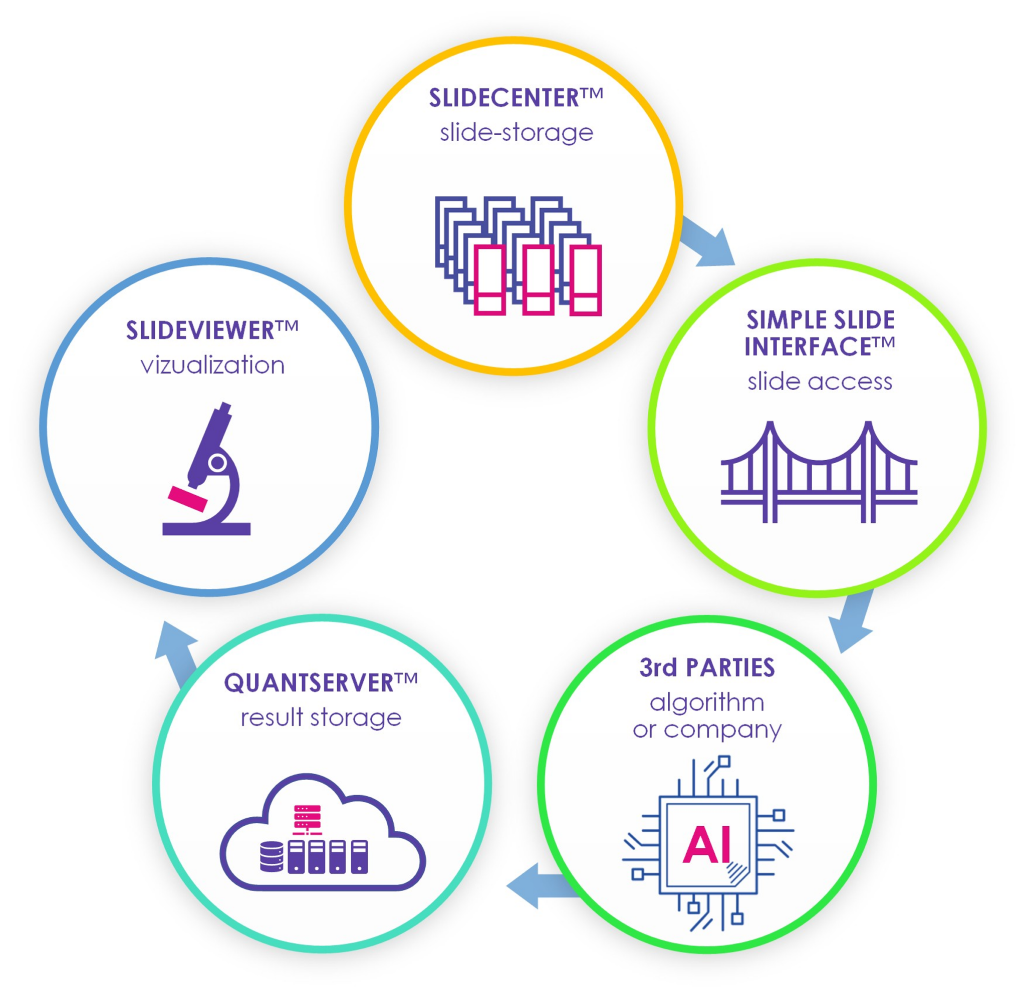 QuantCenter • 3DHISTECH